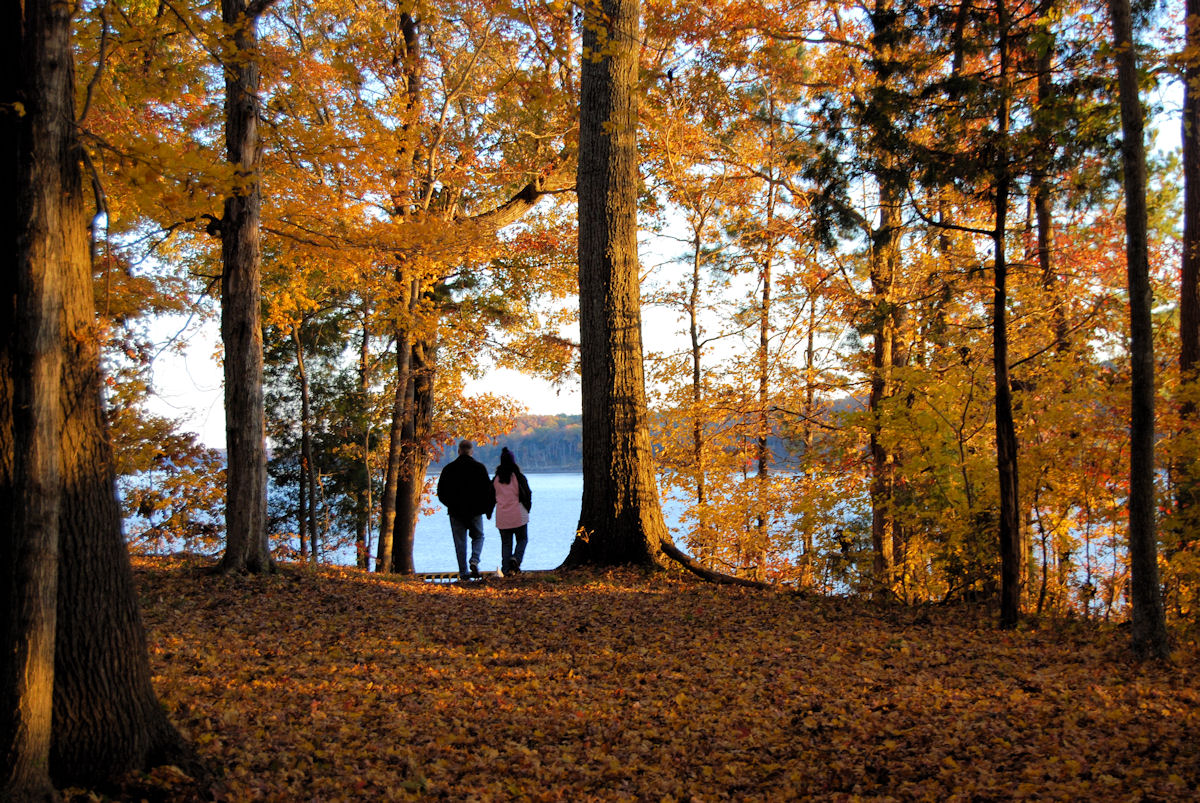 4 Simple Ways to Maintain Wellness This Fall Season – Flora Sophia ...