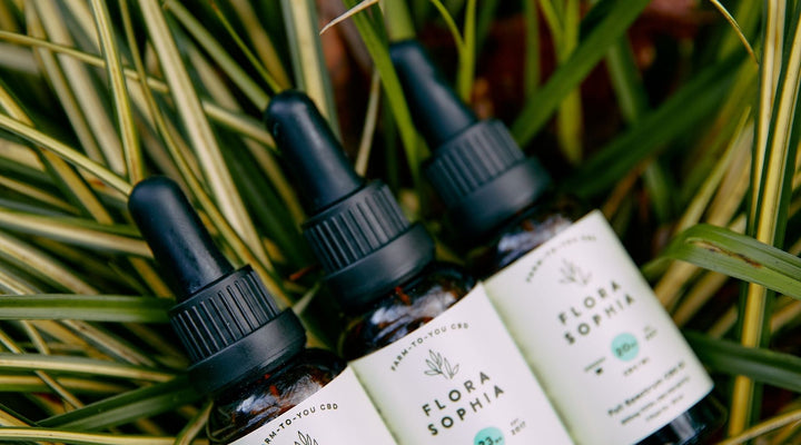 How to Choose the Best Dog Calming Drops – Flora Sophia Botanicals